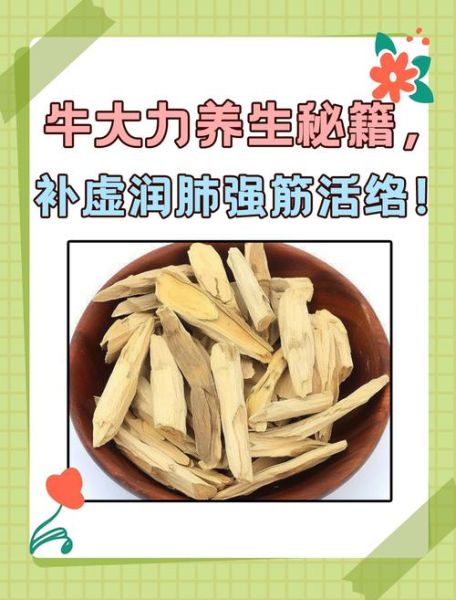 牛大力功效与作用_牛大力禁忌人群-第3张图片-山城妙识