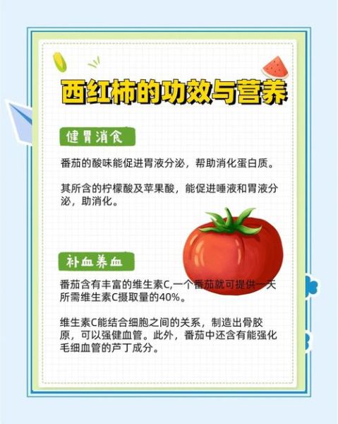 西红柿的功效与作用禁忌_西红柿的正确吃法-第3张图片-山城妙识