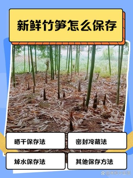 新鲜竹笋焯水要放盐吗_竹笋焯水正确方法-第3张图片-山城妙识