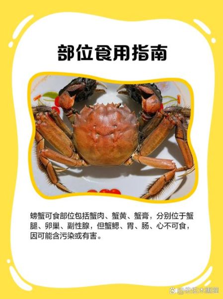 吃螃蟹的正确步骤_如何优雅吃蟹不扎手-第2张图片-山城妙识 吃螃蟹的正确步骤_如何优雅吃蟹不扎手-第2张图片-山城妙识