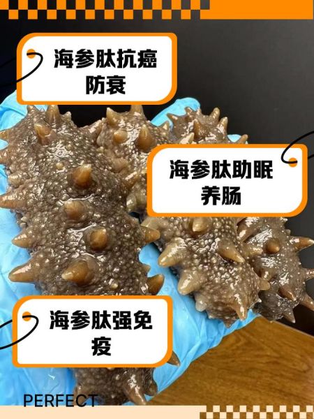 海参肽多少钱一盒_海参肽价格为什么这么贵-第3张图片-山城妙识