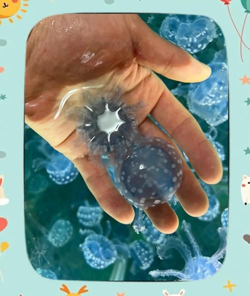 吸血水母有毒吗_被咬后怎么处理-第2张图片-山城妙识