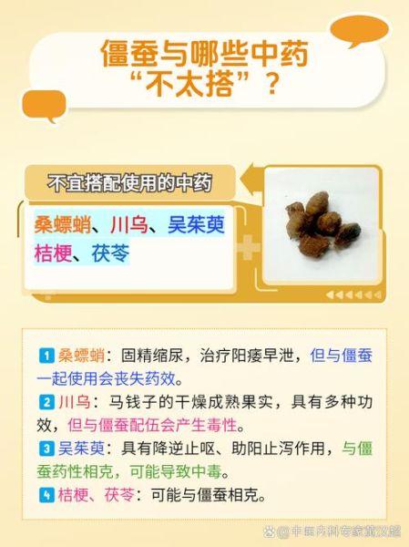 僵蚕的功效与作用_僵蚕能治疗哪些病-第2张图片-山城妙识