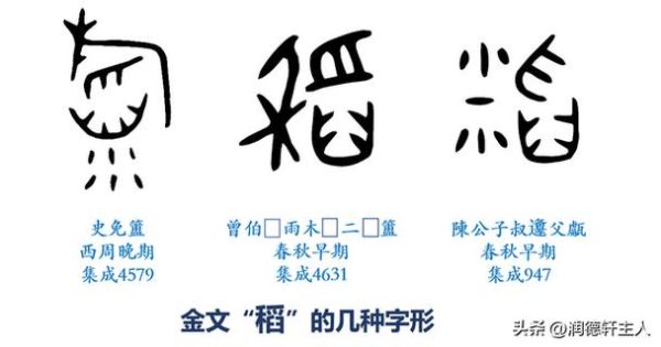 稻指什么_稻字含义详解-第1张图片-山城妙识