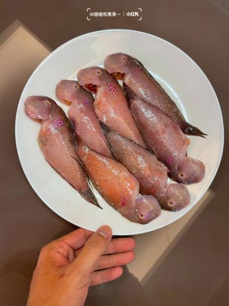 鹦哥鱼怎么做好吃_鹦哥鱼清蒸还是红烧-第1张图片-山城妙识