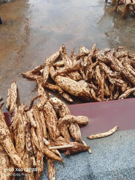 葛根粉价格2020最新价格_多少钱一斤-第3张图片-山城妙识 葛根粉价格2020最新价格_多少钱一斤-第3张图片-山城妙识