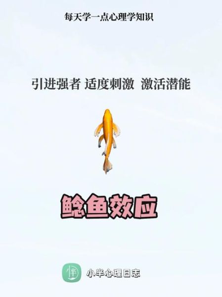 鲶鱼效应的教育启示_如何激发学生潜能-第3张图片-山城妙识 鲶鱼效应的教育启示_如何激发学生潜能-第3张图片-山城妙识