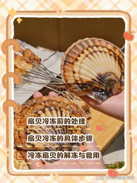 冷冻扇贝肉怎么处理_解冻后怎么清洗-第2张图片-山城妙识