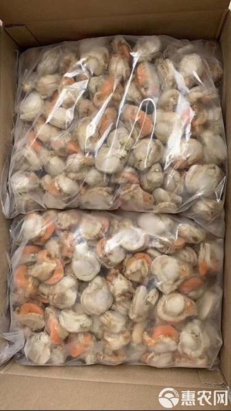 冷冻扇贝肉怎么处理_解冻后怎么清洗-第3张图片-山城妙识