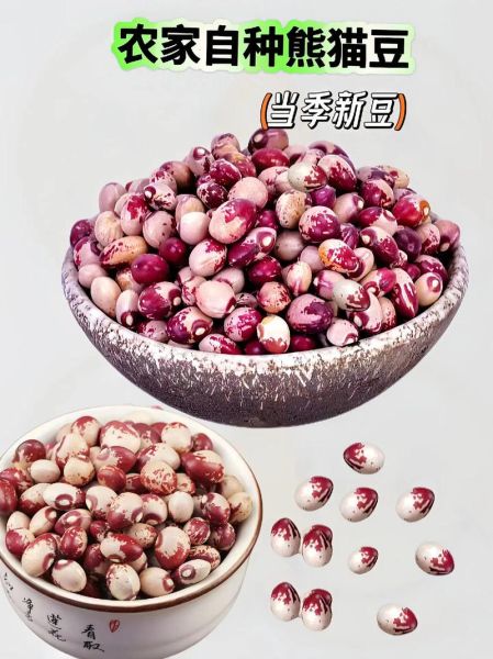 花芸豆和红芸豆的区别_哪个更适合做豆沙-第1张图片-山城妙识