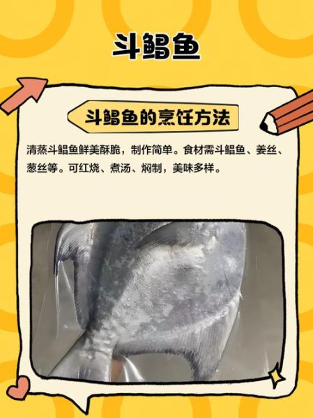 斗鲳鱼和白鲳鱼的区别_哪个更好吃-第2张图片-山城妙识