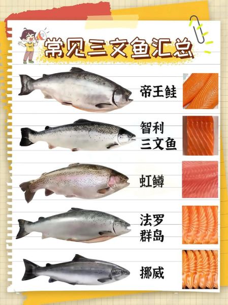 三文鱼一次吃多少合适_孕妇能吃多少三文鱼-第2张图片-山城妙识 三文鱼一次吃多少合适_孕妇能吃多少三文鱼-第2张图片-山城妙识