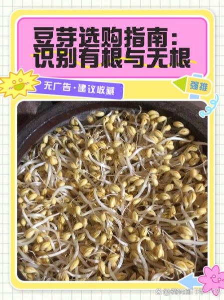 无根绿豆芽怎么种_无根绿豆芽几天能吃-第1张图片-山城妙识 无根绿豆芽怎么种_无根绿豆芽几天能吃-第1张图片-山城妙识