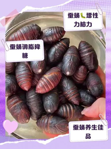 蚕蛹图片_蚕蛹营养价值-第2张图片-山城妙识