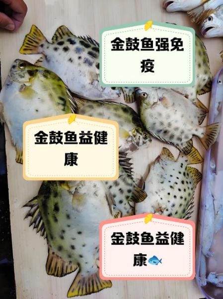 鱼的营养价值及功效与作用_吃鱼真的会变聪明吗-第3张图片-山城妙识