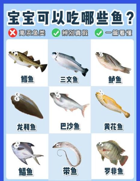 鱼的营养价值及功效与作用_吃鱼真的会变聪明吗-第1张图片-山城妙识