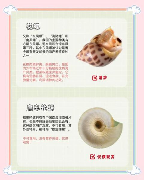 哪些螺不能吃_有毒螺类识别方法-第1张图片-山城妙识 哪些螺不能吃_有毒螺类识别方法-第1张图片-山城妙识