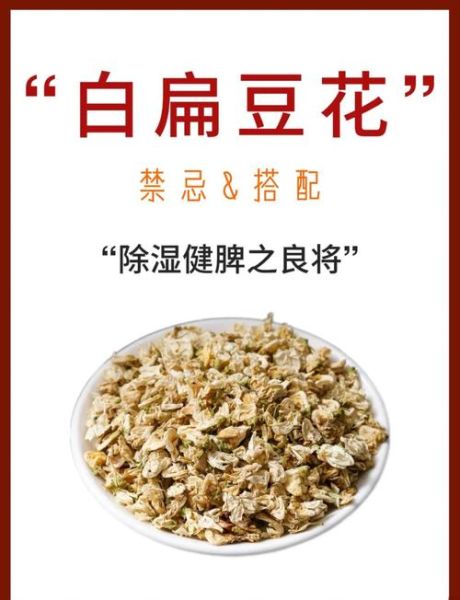 白扁豆不能和什么一起吃_白扁豆哪些人不能吃-第1张图片-山城妙识 白扁豆不能和什么一起吃_白扁豆哪些人不能吃-第1张图片-山城妙识