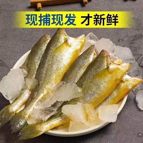 小黄鱼刺多吗_适合宝宝吃吗-第3张图片-山城妙识 小黄鱼刺多吗_适合宝宝吃吗-第3张图片-山城妙识