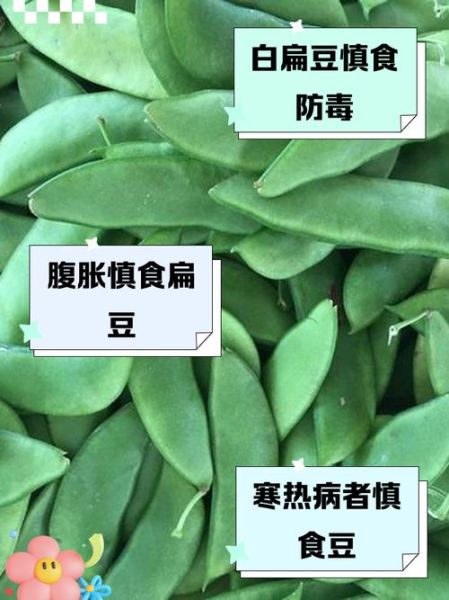 白扁豆不能和什么一起吃_白扁豆哪些人不能吃-第2张图片-山城妙识 白扁豆不能和什么一起吃_白扁豆哪些人不能吃-第2张图片-山城妙识
