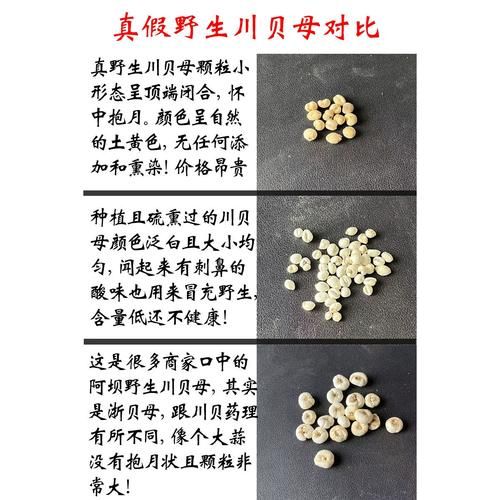 川贝粉能直接冲水喝吗_川贝粉的正确服用方法-第1张图片-山城妙识