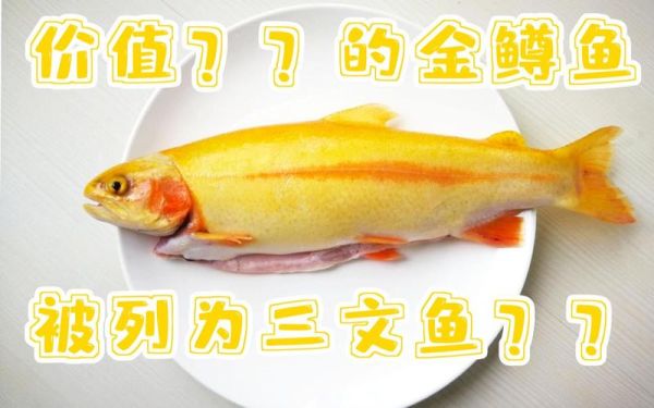 金鳟鱼图片_金鳟鱼怎么做好吃-第3张图片-山城妙识 金鳟鱼图片_金鳟鱼怎么做好吃-第3张图片-山城妙识