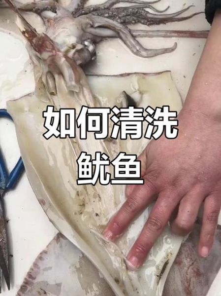 墨鱼怎么处理干净内脏_墨鱼内脏清理步骤-第3张图片-山城妙识