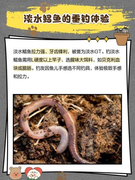 淡水白鲳多少钱一斤_淡水白鲳价格走势-第1张图片-山城妙识 淡水白鲳多少钱一斤_淡水白鲳价格走势-第1张图片-山城妙识