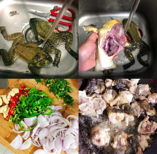 红烧牛蛙怎么做_川菜红烧牛蛙的做法步骤-第1张图片-山城妙识
