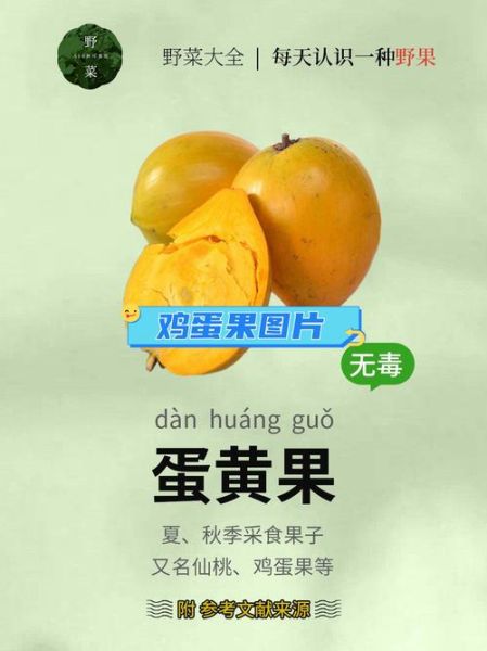 蛋黄果孕妇可以吃吗_孕期吃蛋黄果注意事项-第3张图片-山城妙识 蛋黄果孕妇可以吃吗_孕期吃蛋黄果注意事项-第3张图片-山城妙识