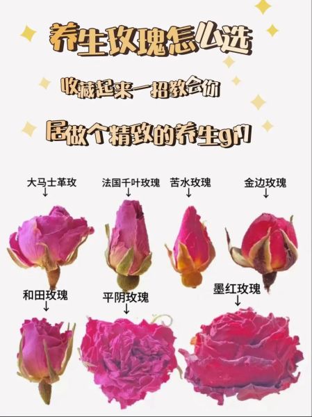 玫瑰花茶一次放几朵_玫瑰花茶用量多少合适-第3张图片-山城妙识 玫瑰花茶一次放几朵_玫瑰花茶用量多少合适-第3张图片-山城妙识