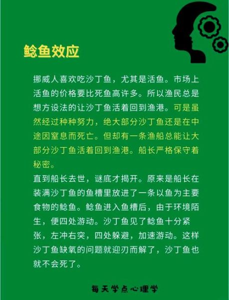 鲶鱼效应是什么意思_鲶鱼效应如何应用-第1张图片-山城妙识 鲶鱼效应是什么意思_鲶鱼效应如何应用-第1张图片-山城妙识