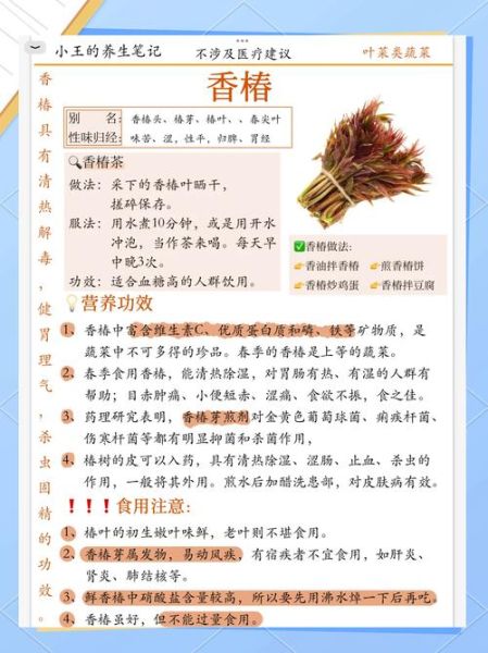 香椿的功效与作用及食用方法_香椿怎么吃才健康-第1张图片-山城妙识