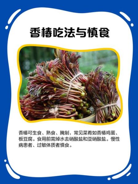 香椿的功效与作用及食用方法_香椿怎么吃才健康-第3张图片-山城妙识