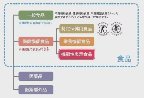 果冻服务什么意思_果冻服务有哪些隐藏功能-第3张图片-山城妙识 果冻服务什么意思_果冻服务有哪些隐藏功能-第3张图片-山城妙识