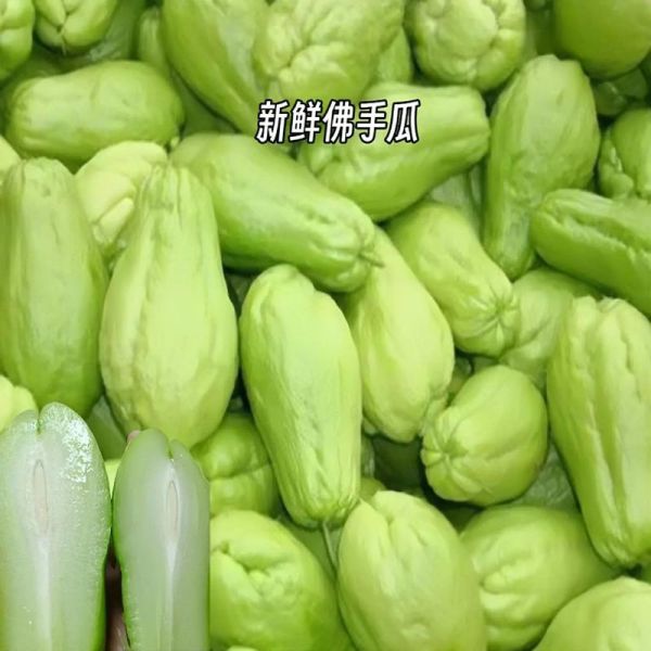 佛手瓜图片怎么拍好看_佛手瓜高清图片哪里找-第3张图片-山城妙识 佛手瓜图片怎么拍好看_佛手瓜高清图片哪里找-第3张图片-山城妙识