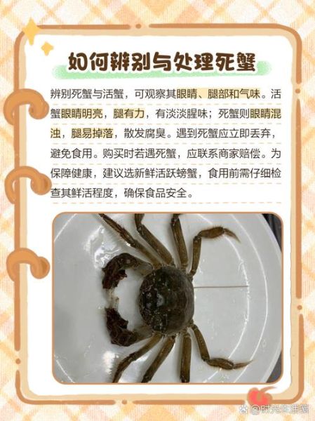 河螃蟹死多久不能吃_如何判断河蟹是否变质-第2张图片-山城妙识 河螃蟹死多久不能吃_如何判断河蟹是否变质-第2张图片-山城妙识