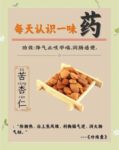 苦杏仁的功效与作用_苦杏仁怎么吃才安全-第2张图片-山城妙识