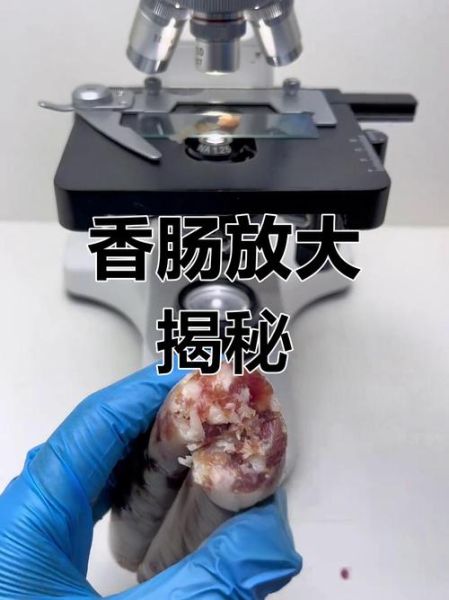 火腿肠制作过程_到底有多恶心-第1张图片-山城妙识 火腿肠制作过程_到底有多恶心-第1张图片-山城妙识