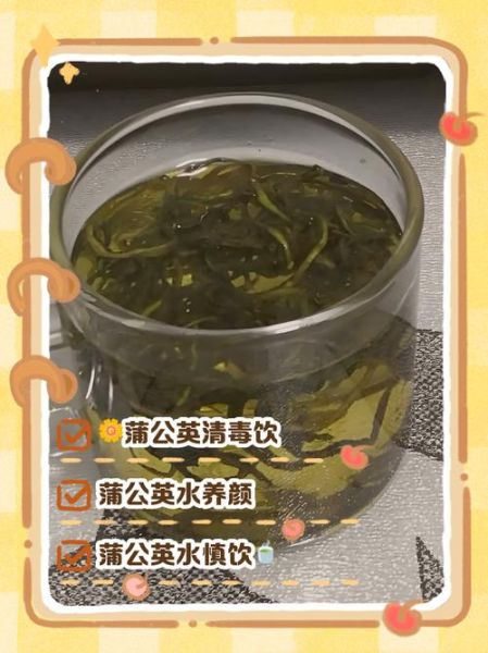 蒲公英干泡水喝的功效与作用_蒲公英的禁忌有哪些-第2张图片-山城妙识