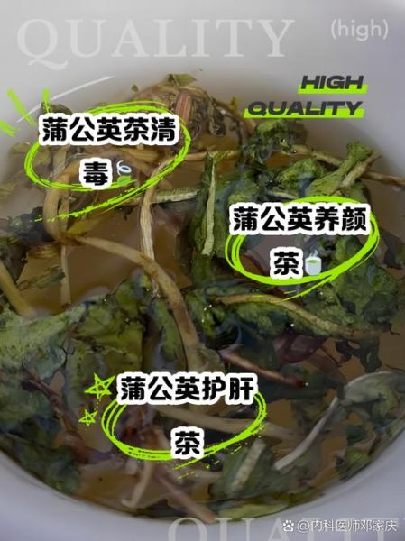 蒲公英干泡水喝的功效与作用_蒲公英的禁忌有哪些-第3张图片-山城妙识