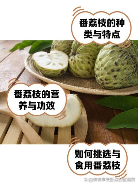 番荔枝多少钱一斤_番荔枝为什么贵-第1张图片-山城妙识 番荔枝多少钱一斤_番荔枝为什么贵-第1张图片-山城妙识