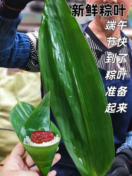广东粽叶是什么叶子_广东包粽子用什么粽叶-第3张图片-山城妙识