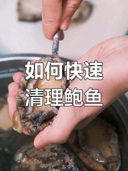 鲍鱼怎么杀_鲍鱼清洗去内脏步骤-第1张图片-山城妙识