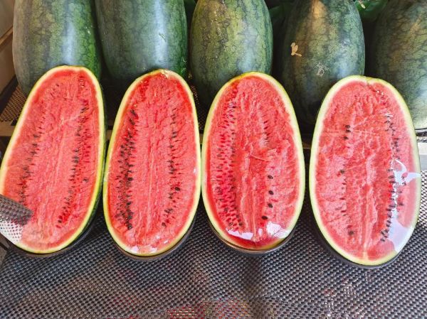 黑美人西瓜产地在哪里_黑美人西瓜哪里最正宗-第3张图片-山城妙识