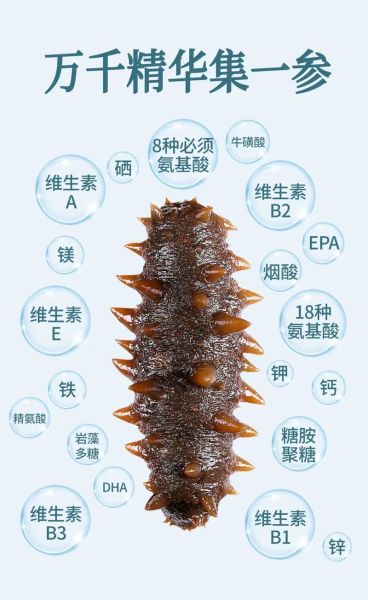 海参的功效与作用有哪些_海参怎么吃最营养-第1张图片-山城妙识 海参的功效与作用有哪些_海参怎么吃最营养-第1张图片-山城妙识