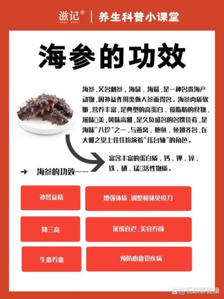 海参的功效与作用有哪些_海参怎么吃最营养-第2张图片-山城妙识 海参的功效与作用有哪些_海参怎么吃最营养-第2张图片-山城妙识