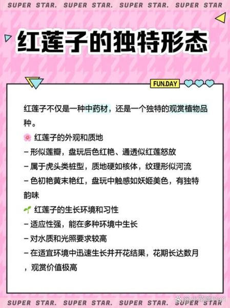 红莲子怎么吃_红莲子食用方法-第2张图片-山城妙识