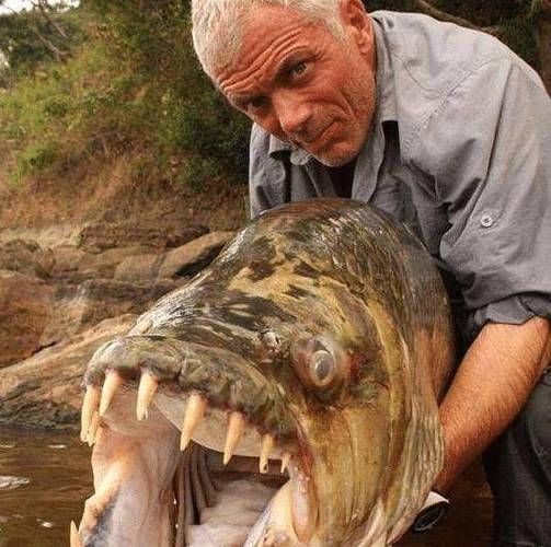 人鳗七鳃鳗男主原型是谁_真实身份揭秘-第3张图片-山城妙识 人鳗七鳃鳗男主原型是谁_真实身份揭秘-第3张图片-山城妙识