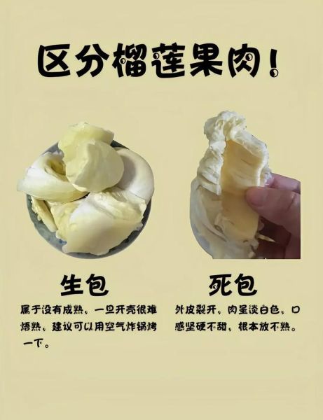 吃榴莲会长胖吗_榴莲热量高吗-第3张图片-山城妙识